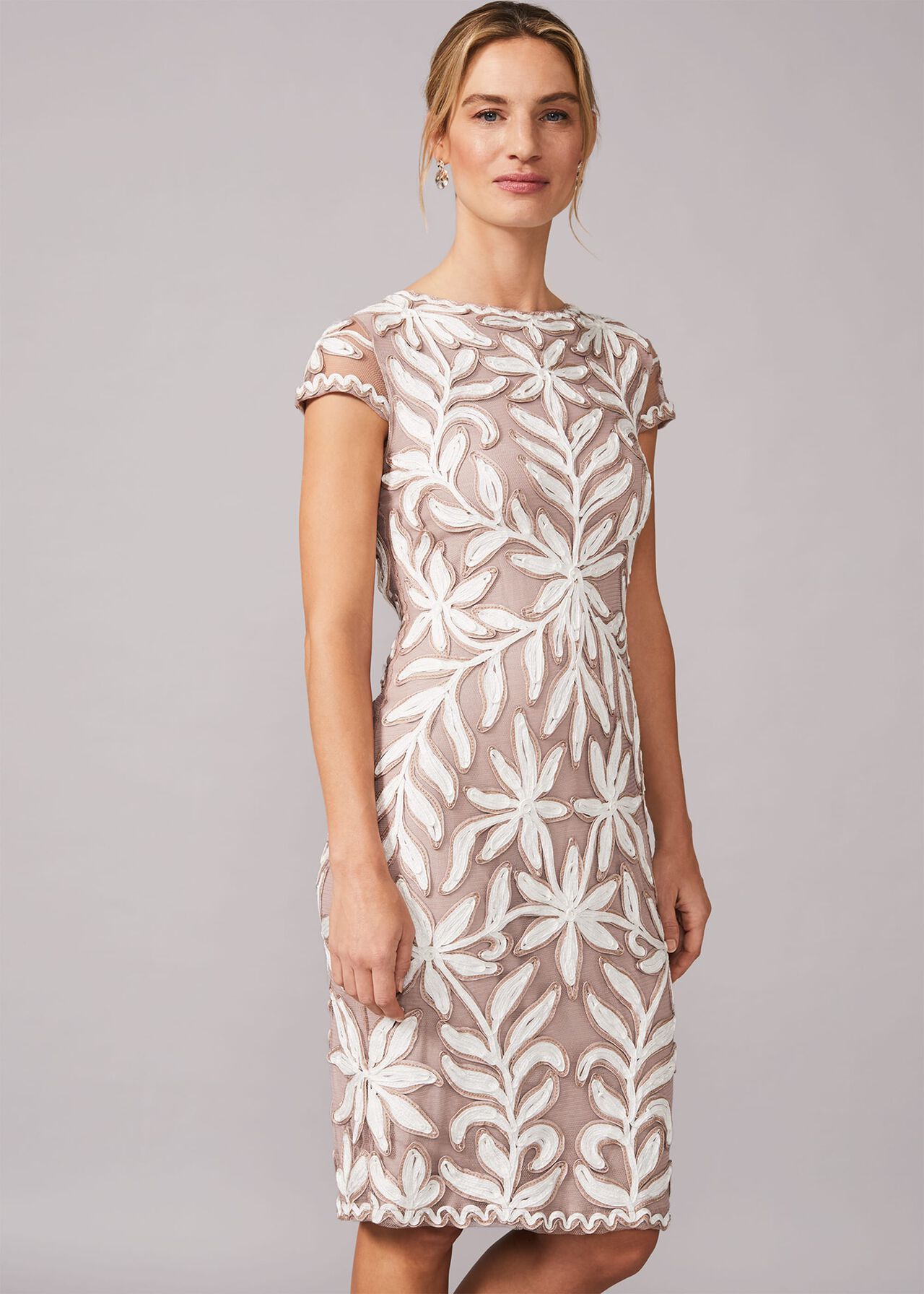 Isobel Tapework Lace Fitted Dress | Phase Eight UK