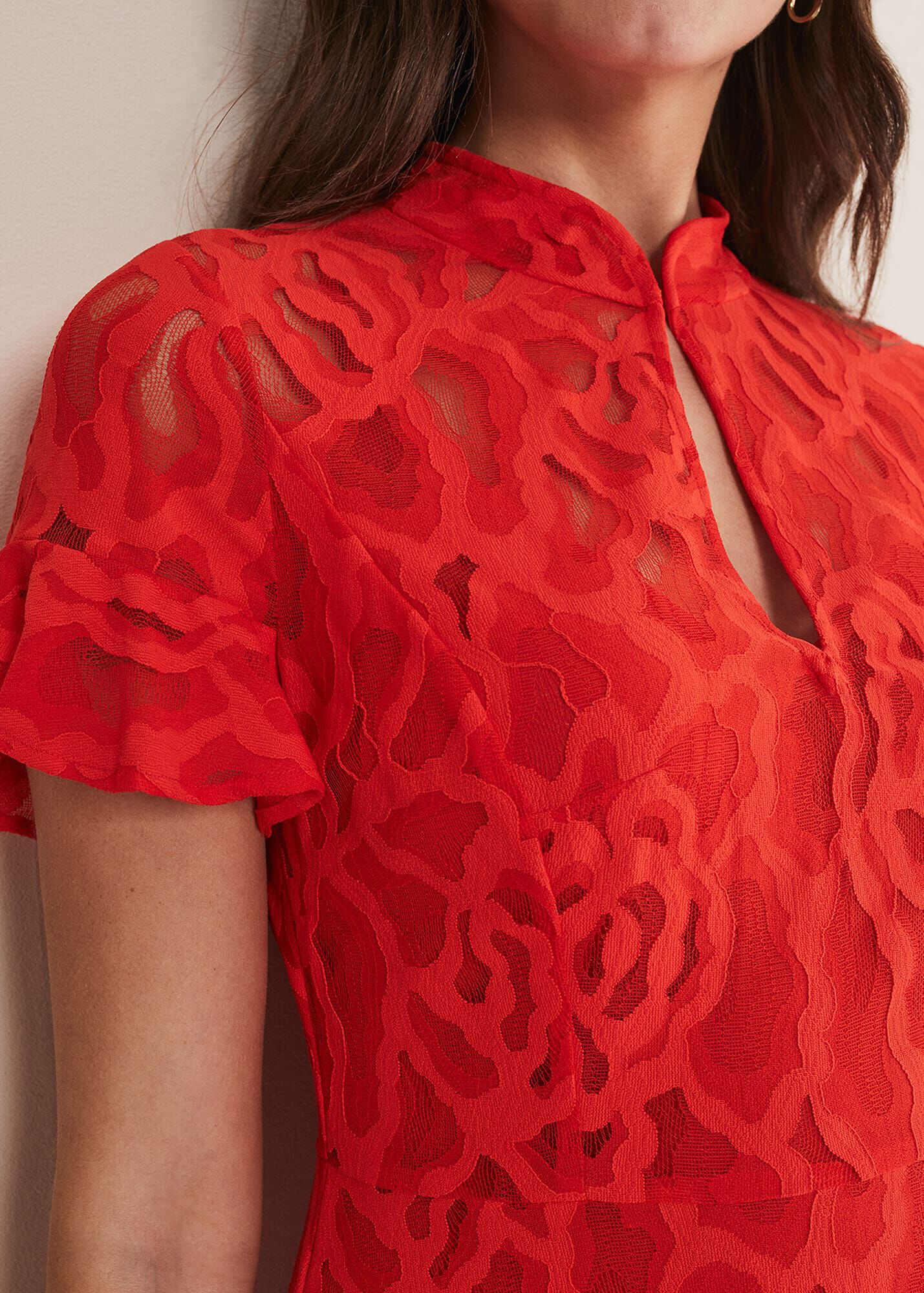 Lulu Lace Midi Dress | Phase Eight UK