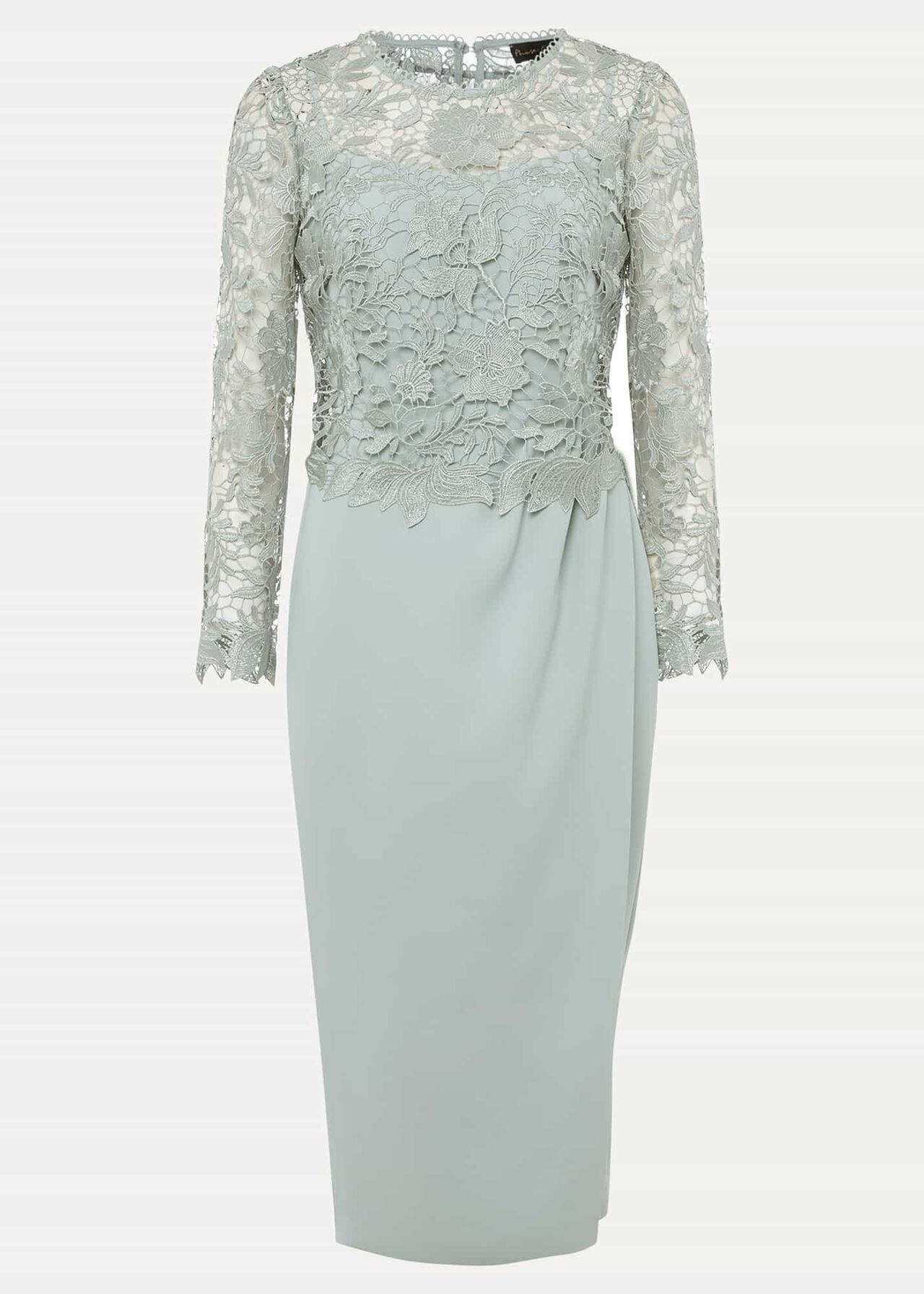 Light Blue Lace Overlay Pencil Dress | Phase Eight | Phase Eight UK